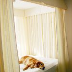 Furniture - Gretchen Everett